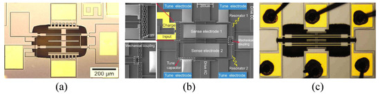 A Review on Resonant MEMS Electric Field Sensors