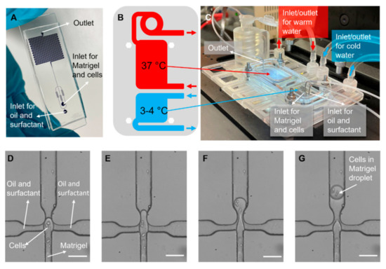Microfluidic Technologies in Advancing Cancer Research