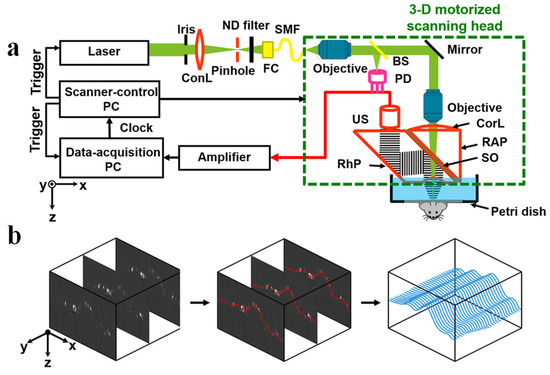 Resolution Enhancement Strategies in Photoacoustic Microscopy: A ...