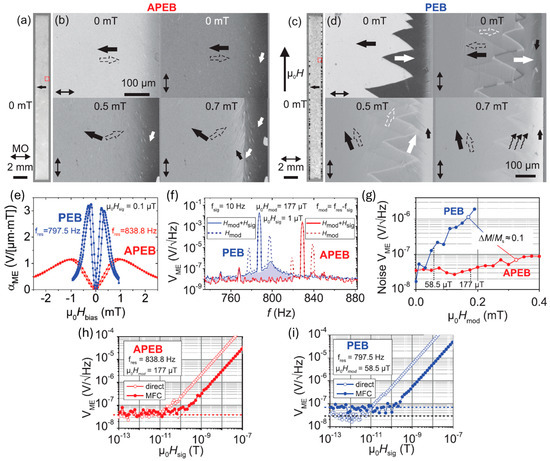 Magnetoelectric BAW and SAW Devices: A Review