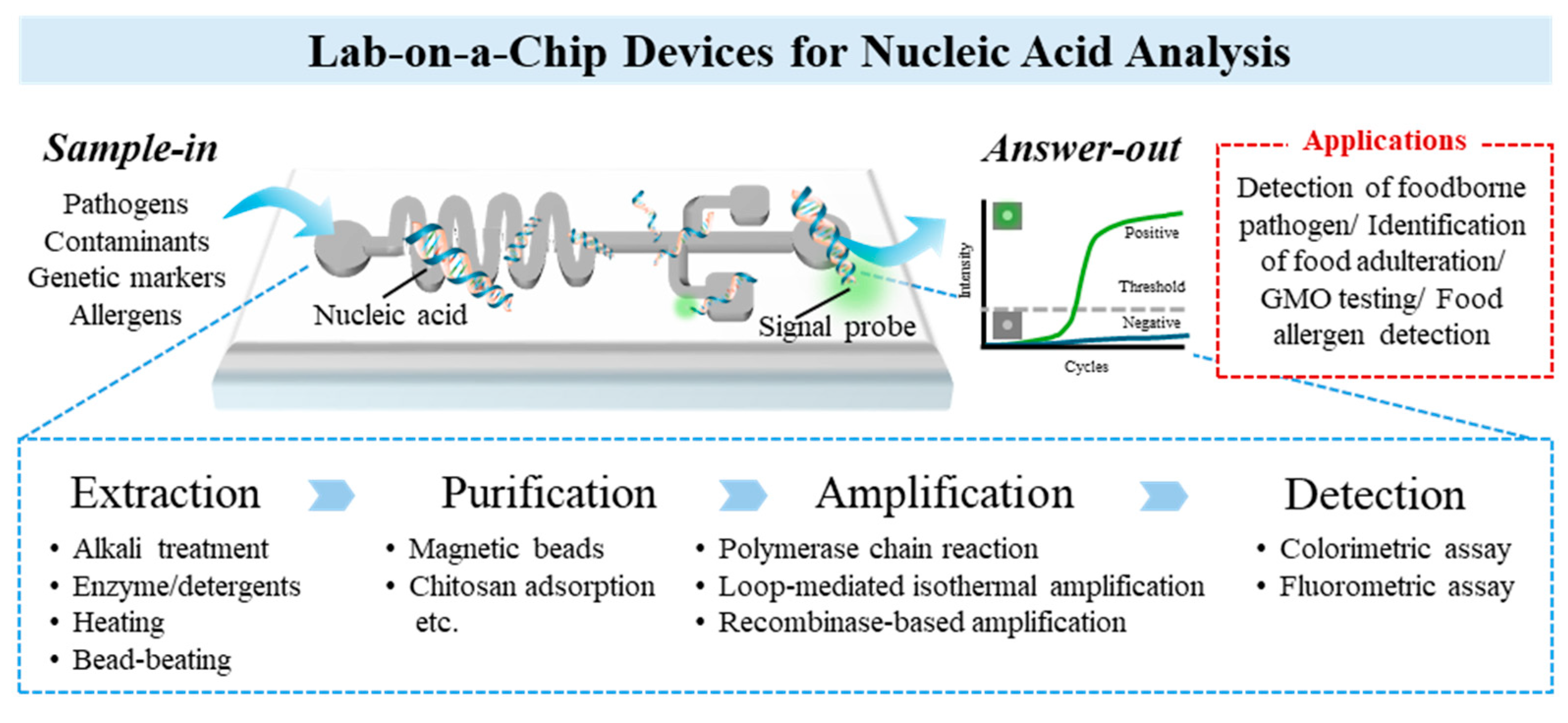 Lab-on-a-Chip Devices for Nucleic Acid Analysis in Food Safety