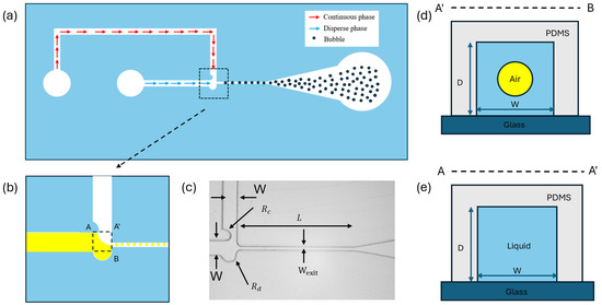 Microfluidic Monodispersed Microbubble Generation for Production of Cavitation Nuclei