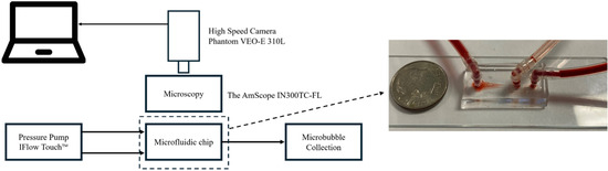 Microfluidic Monodispersed Microbubble Generation for Production of ...