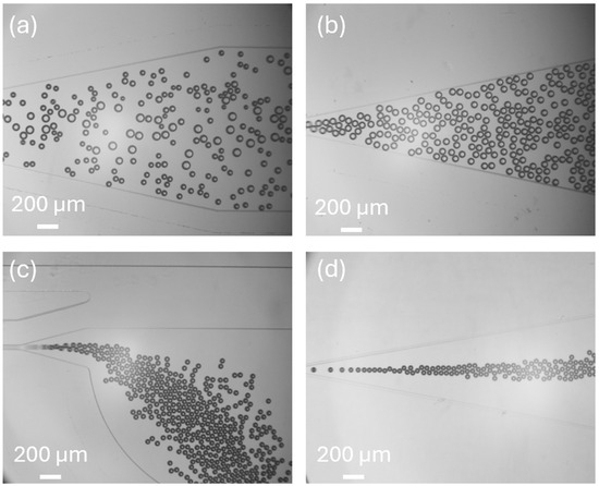 Microfluidic Monodispersed Microbubble Generation for Production of ...