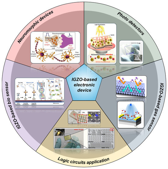 IGZO-Based Electronic Device Application: Advancements in Gas Sensor, Logic Circuit, Biosensor ...