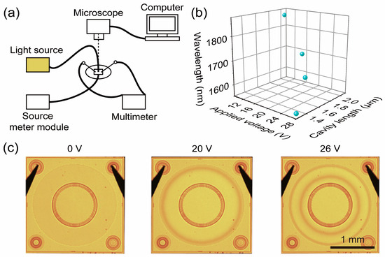 Near-Infrared Spectral MEMS Gas Sensor for Multi-Component Food Gas ...