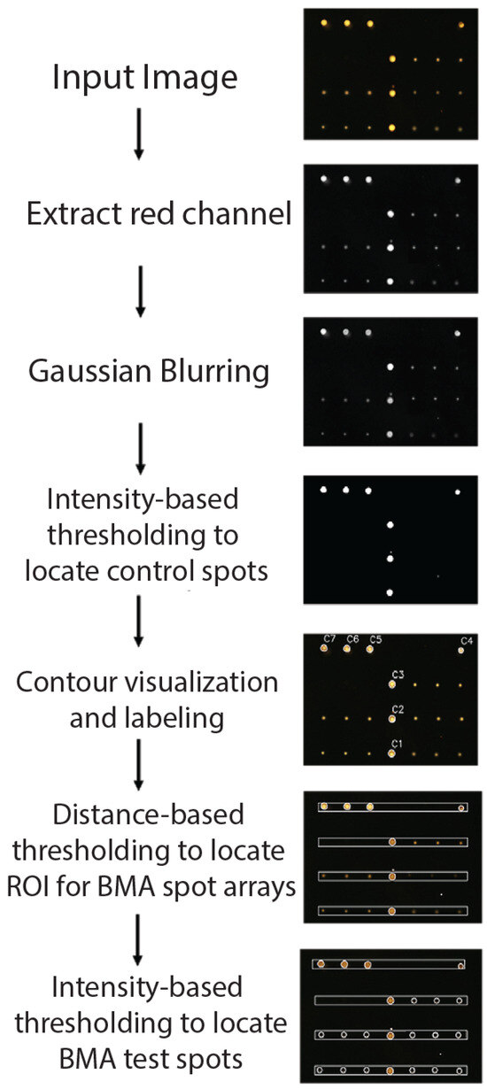 Portable Fluorescence Microarray Reader-Enabled Biomarker Panel ...