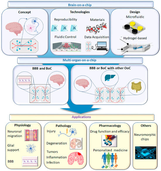 Organ-on-a-Chip Applications in Microfluidic Platforms