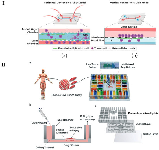 Organ-on-a-Chip Applications in Microfluidic Platforms