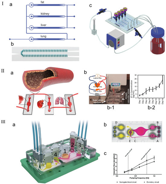Organ-on-a-Chip Applications in Microfluidic Platforms