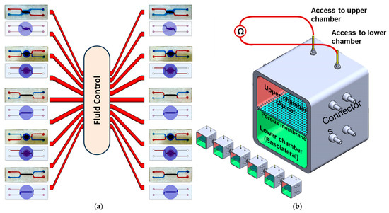A Versatile and Modular Microfluidic System for Dynamic Cell Culture ...
