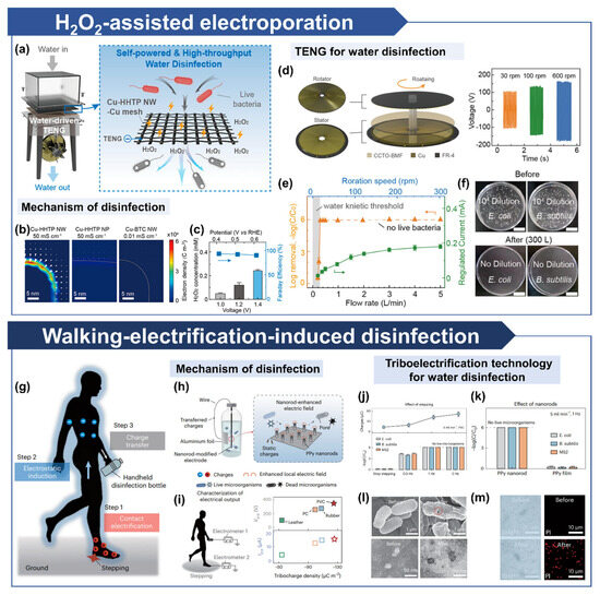 Advances in Triboelectric Nanogenerators for Microbial Disinfection