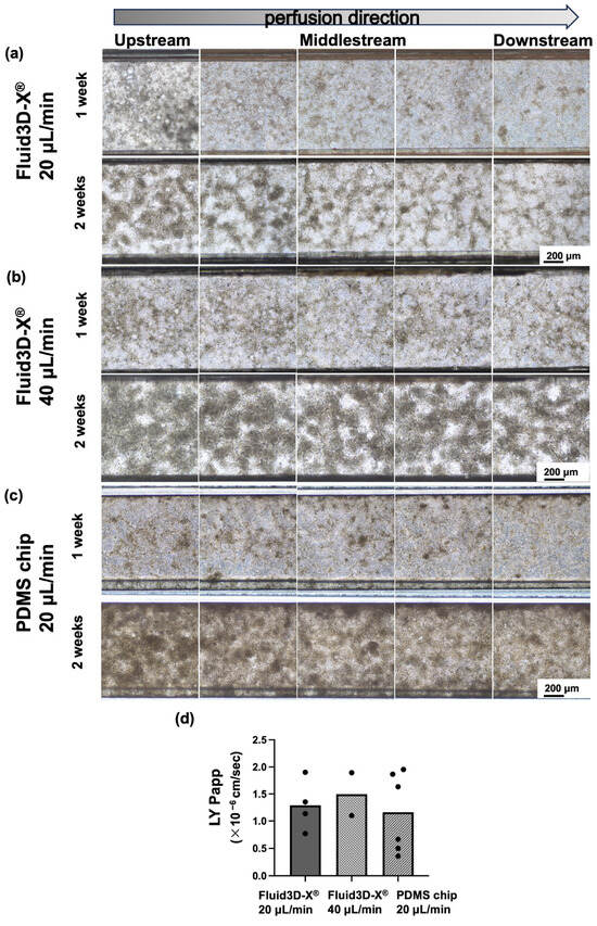 Evaluation of Perfusion Cell Culture Conditions in a Double-Layered ...