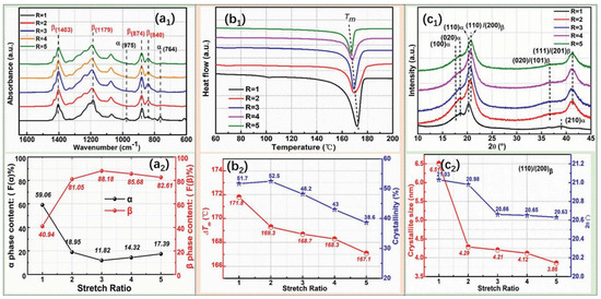 A Comprehensive Review of Piezoelectric PVDF Polymer Fabrications and ...