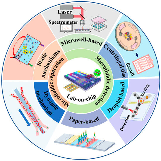Recent Advances in Microfluidics-Based Monitoring of Waterborne ...