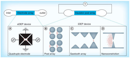 Protein Manipulation via Dielectrophoresis: Theoretical Principles and ...