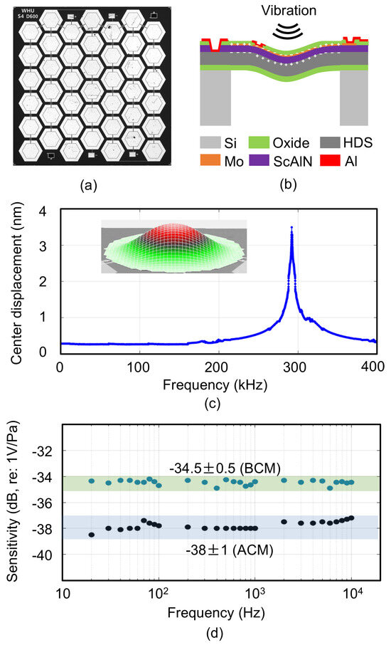 A Piezoelectric Micromachined Ultrasonic Transducer-Based Bone ...