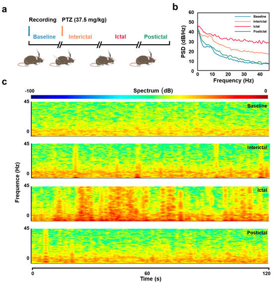 Flexible Deep-Brain Probe for High-Fidelity Multi-Scale Recording of ...