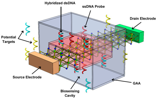 Quantum Simulation Study of Ultrascaled Label-Free DNA Sensors Based on Sub-10 nm Dielectric ...