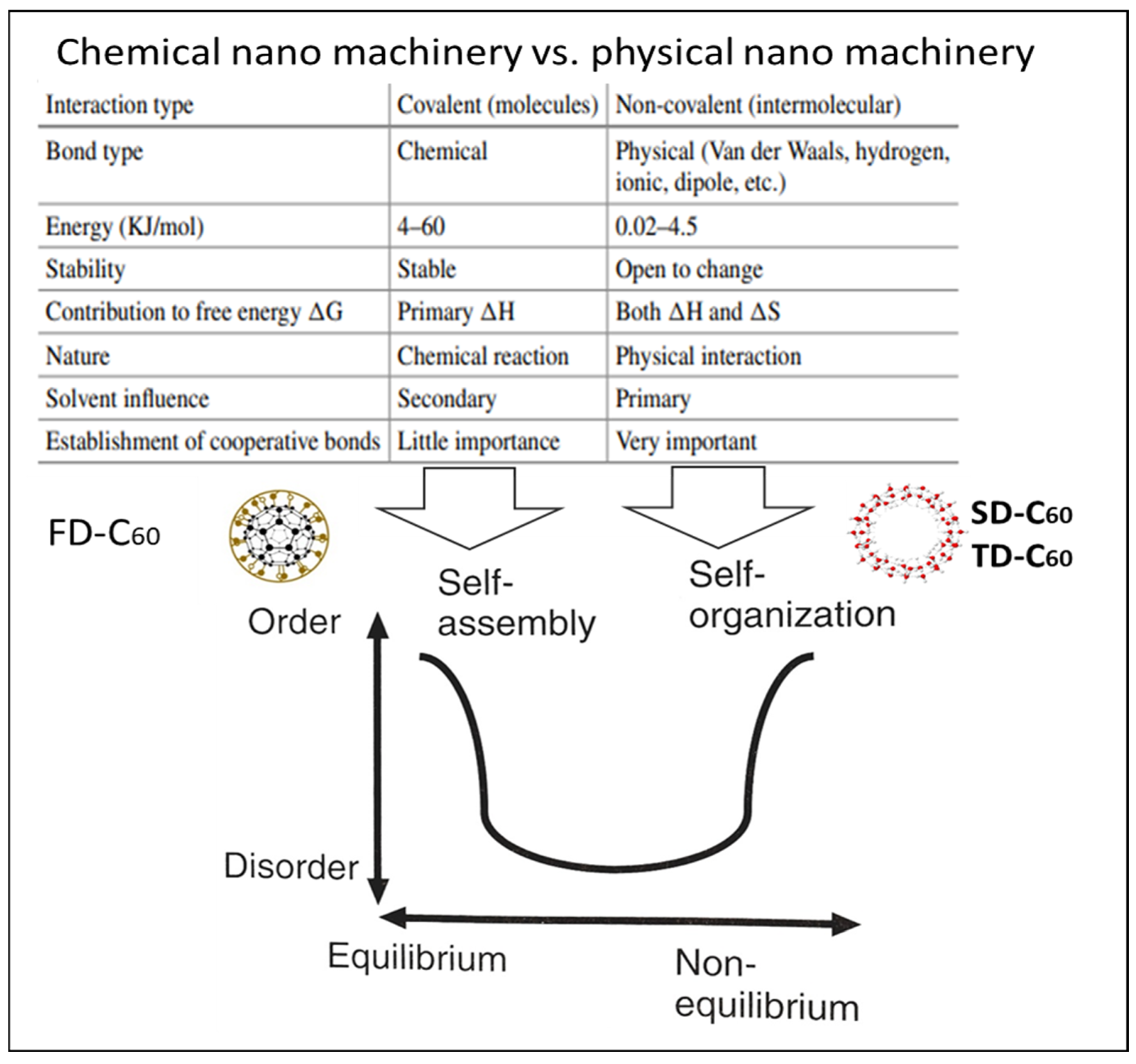 Molecular “Yin-Yang” Machinery of Synthesis of the Second and Third ...