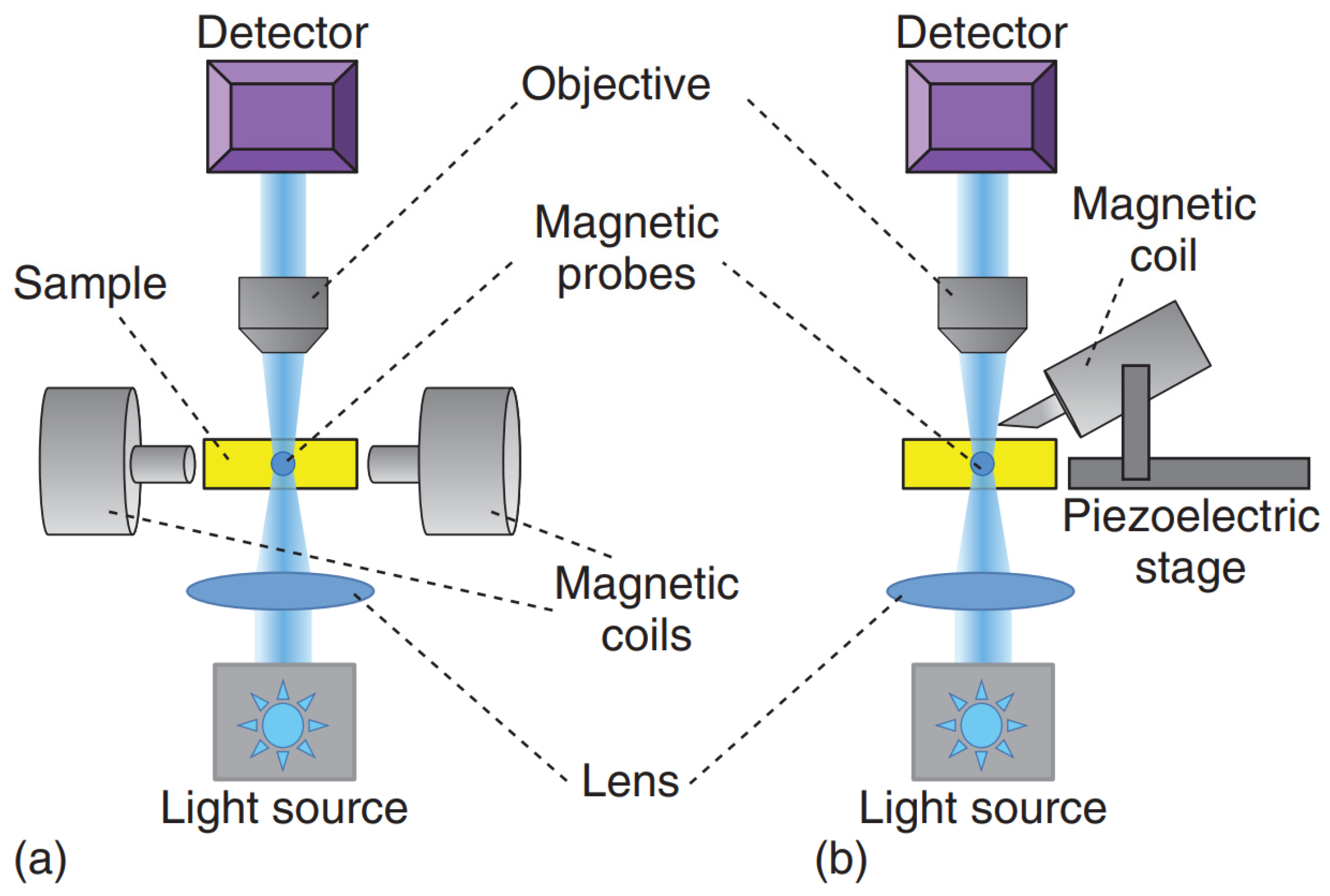 Microrheology: From Video Microscopy to Optical Tweezers