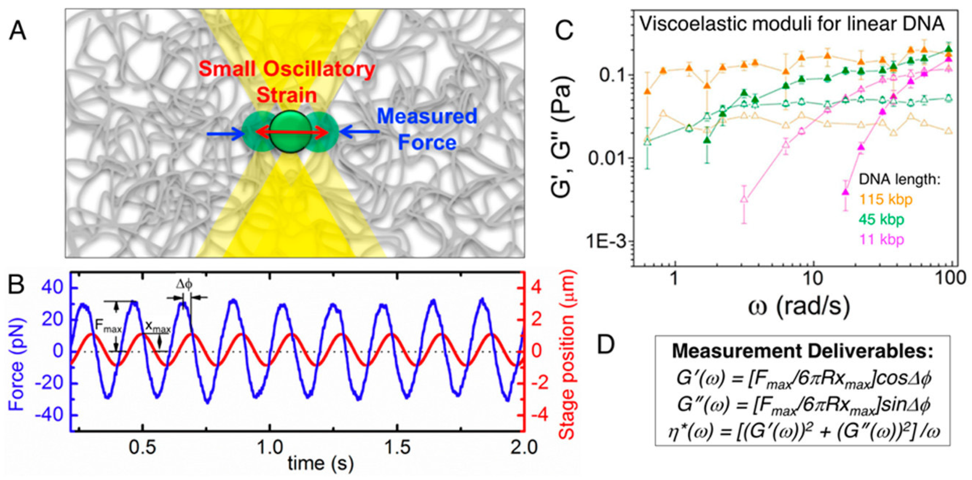 Microrheology: From Video Microscopy to Optical Tweezers