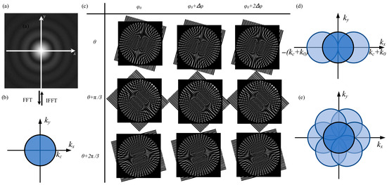 Accelerated Super-Resolution Reconstruction for Structured Illumination Microscopy Integrated ...