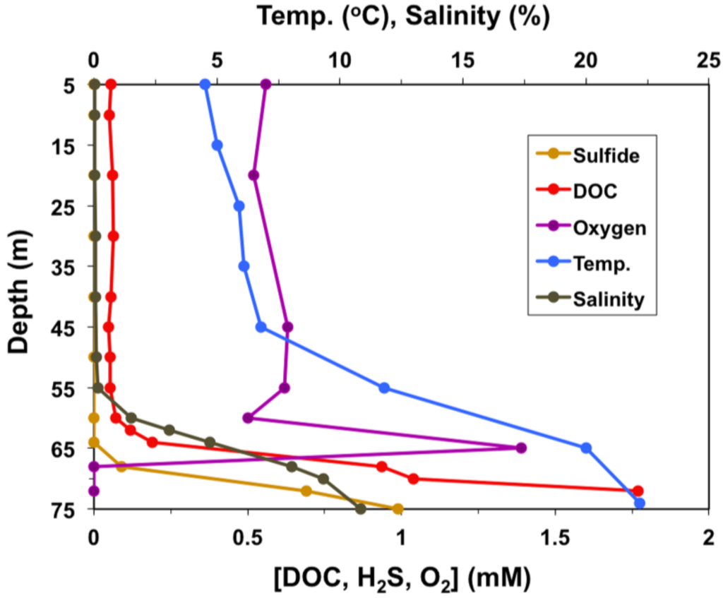 Cold-Active, Heterotrophic Bacteria from the Highly Oligotrophic Waters ...