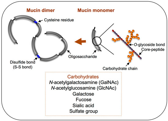 Adhesion Properties of Lactic Acid Bacteria on Intestinal Mucin