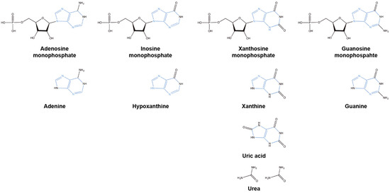 Purine Acquisition and Synthesis by Human Fungal Pathogens