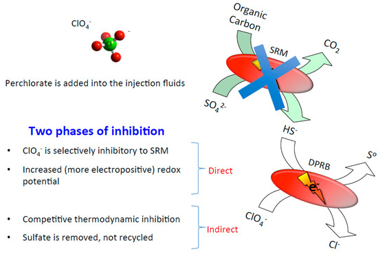 Microorganisms | Free Full-Text | Biotechnological Applications of ...