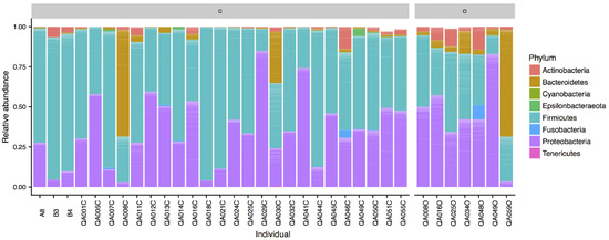 Cloacal and Ocular Microbiota of the Endangered Australian Northern Quoll