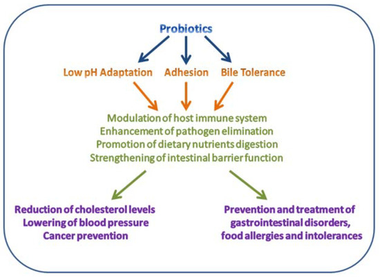 Dietary Nutrients, Proteomes, and Adhesion of Probiotic Lactobacilli to ...
