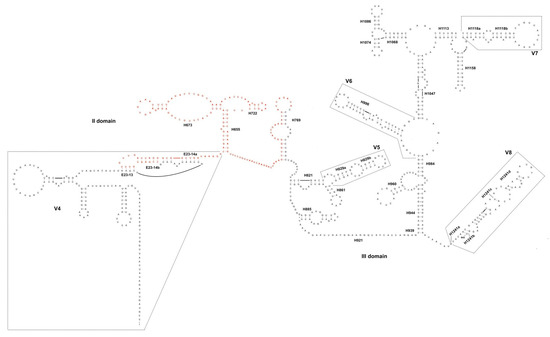 Assessing the Efficiency of Molecular Markers for the Species ...