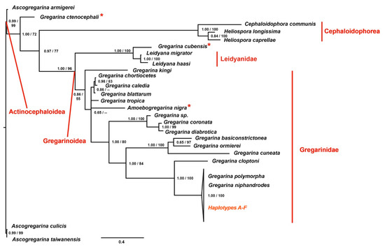 Assessing the Efficiency of Molecular Markers for the Species ...