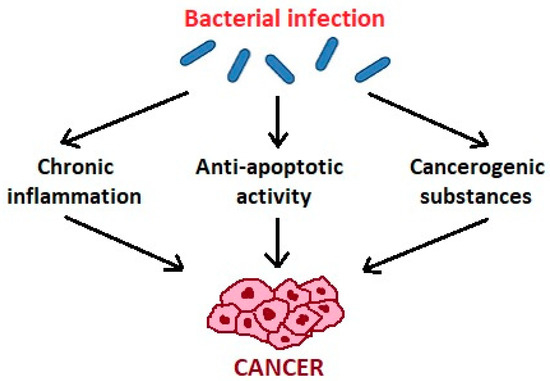 Role of Oral Microbiota in Cancer Development