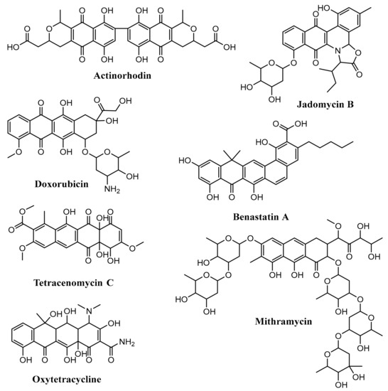Biosynthesis of Polyketides in Streptomyces