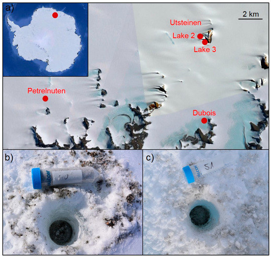 The Biodiversity and Geochemistry of Cryoconite Holes in Queen Maud ...
