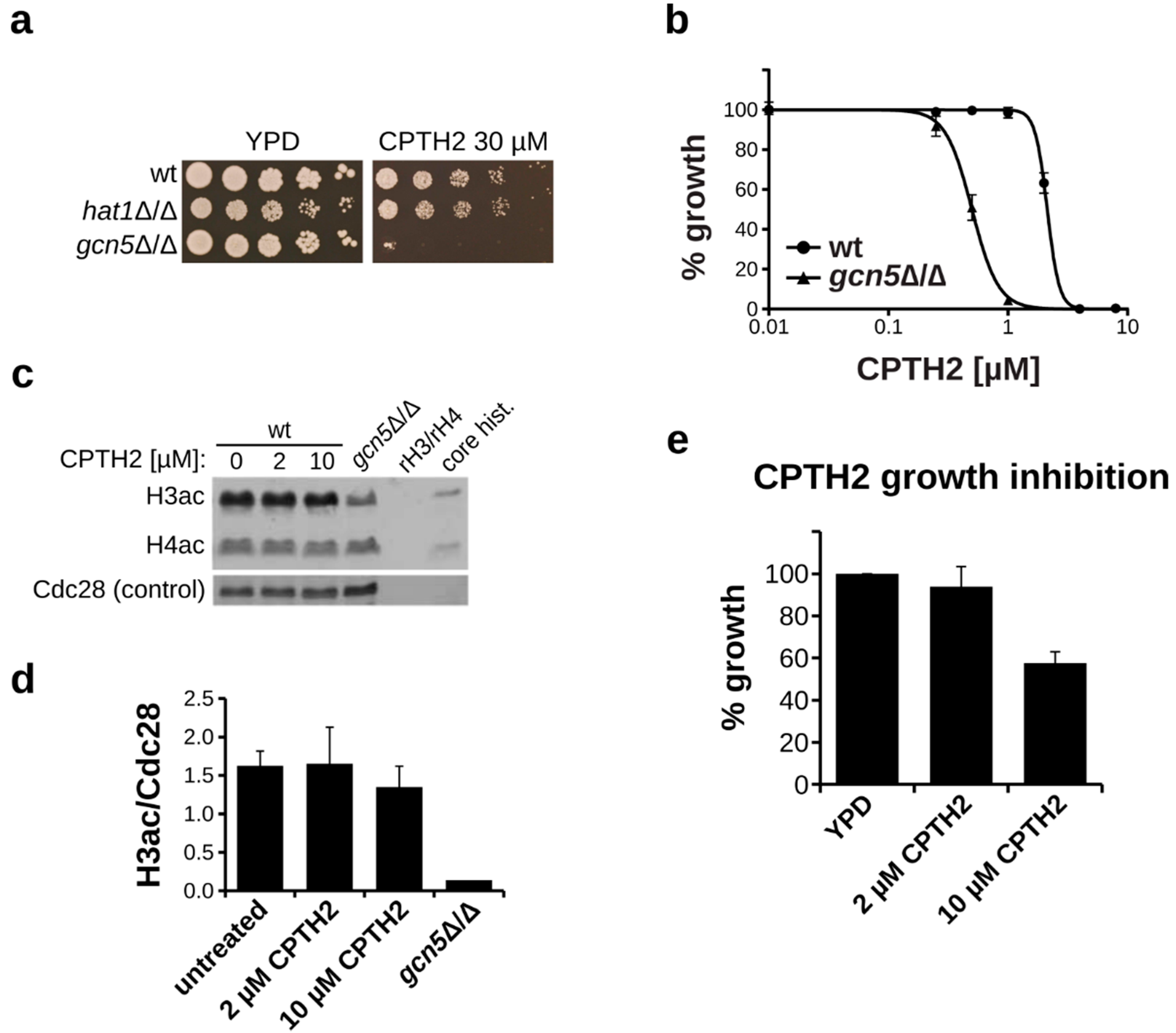 A Histone Acetyltransferase Inhibitor with Antifungal Activity against ...