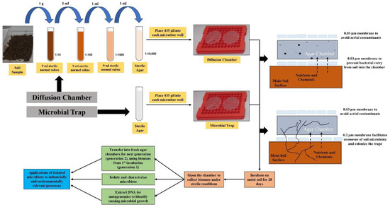 Metagenomic Evaluation of Bacterial and Fungal Assemblages Enriched ...