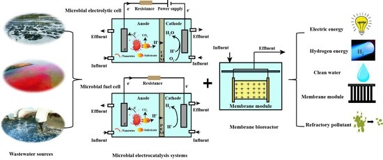 Microorganisms | Free Full-Text | A Review on Microbial ...