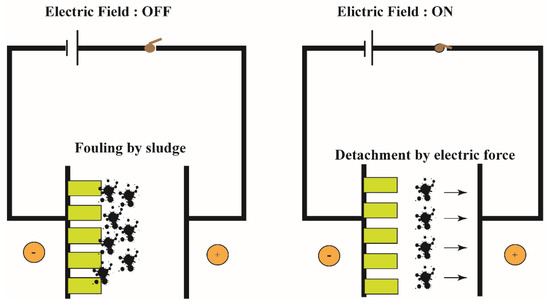 A Review on Microbial Electrocatalysis Systems Coupled with Membrane ...