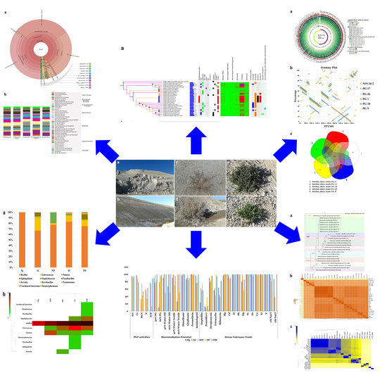 Microorganisms | Topical Collection : Feature Papers in Environmental ...