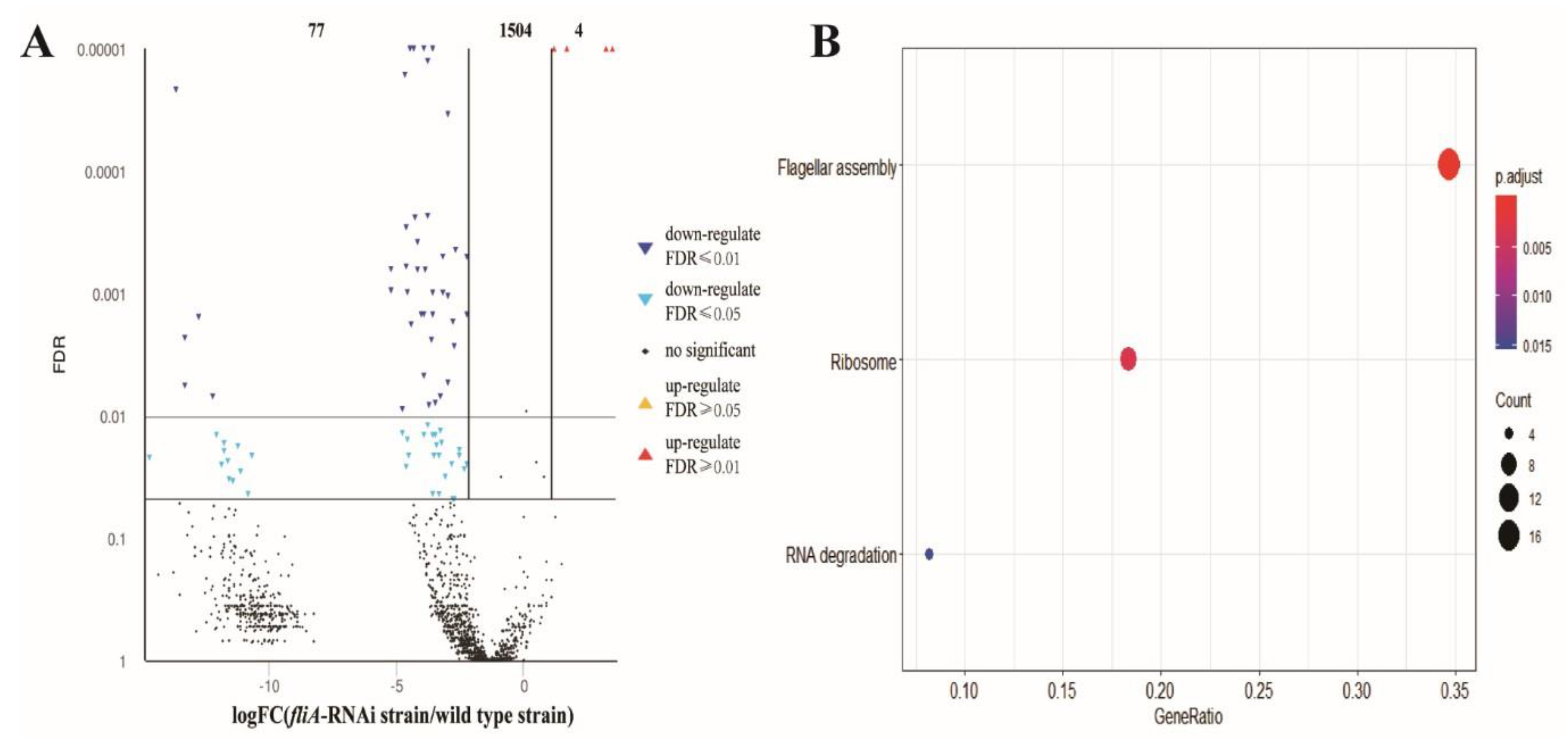 Dual RNA-Seq Unveils the Role of the Pseudomonas plecoglossicida fliA Gene in Pathogen-Host ...