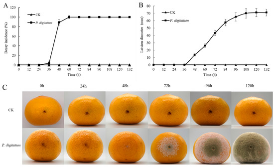 Elucidation of the Initial Growth Process and the Infection Mechanism ...