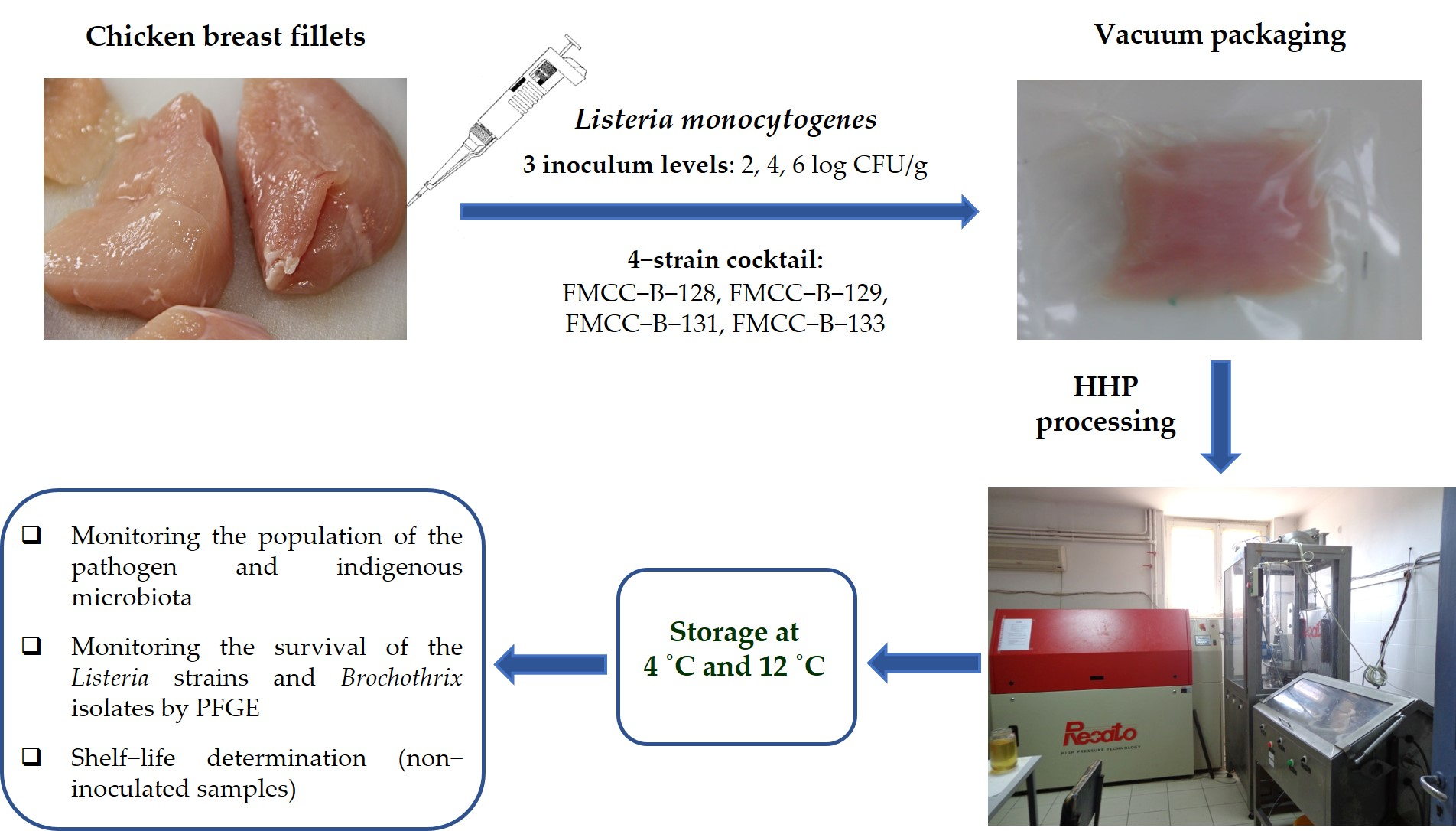 Microorganisms | Free Full-Text | Quality and Safety of Fresh Chicken ...