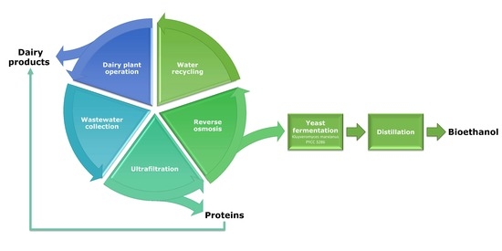 Microorganisms | Special Issue : Non-conventional Yeasts: Genomics and Biotechnology
