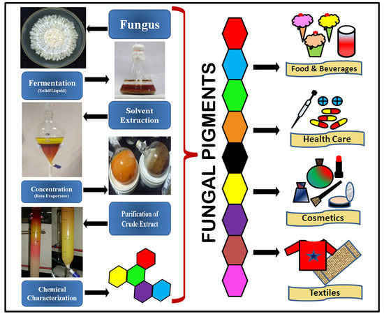 Microorganisms | Special Issue : Microbial Pigments