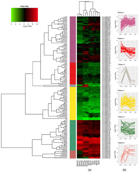 The Conifer Root and Stem Rot Pathogen (Heterobasidion parviporum ...