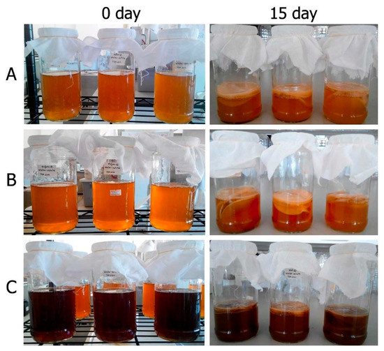 Efficacy of Kombucha Obtained from Green, Oolong, and Black Teas on ...
